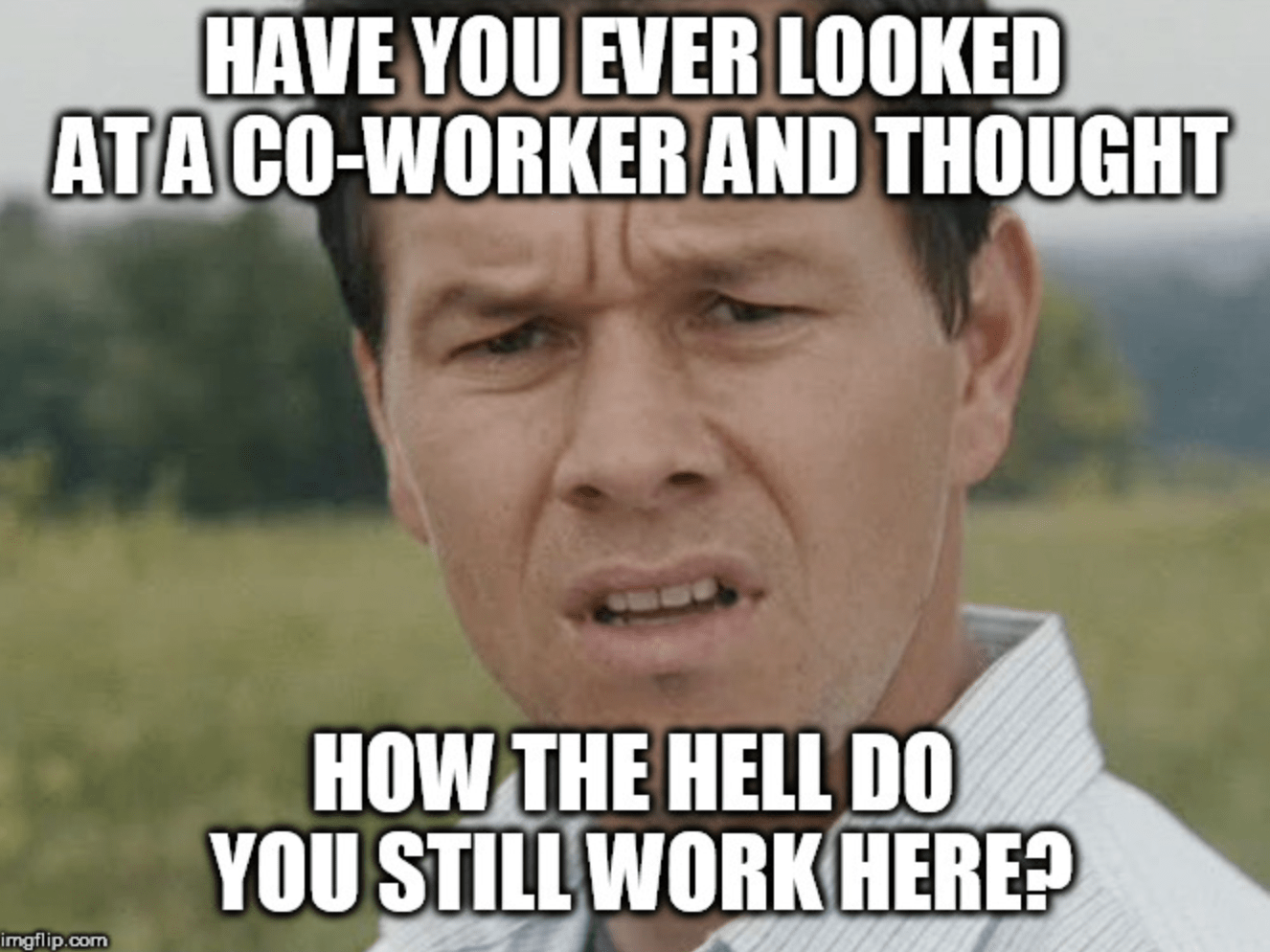 Top 5 Mark Wahlberg Memes - Throwback Nation Radio